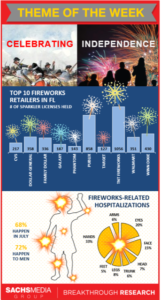 Fireworks Infographic