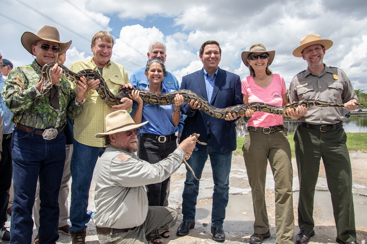 Governor Ron DeSantis Joins FWC and SFWMD in Announcing Python Removal ...
