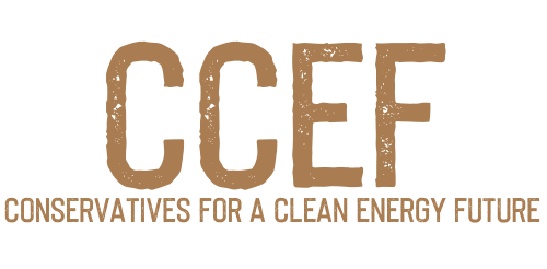 CCEF Names Florida 2020 Clean Energy Champions