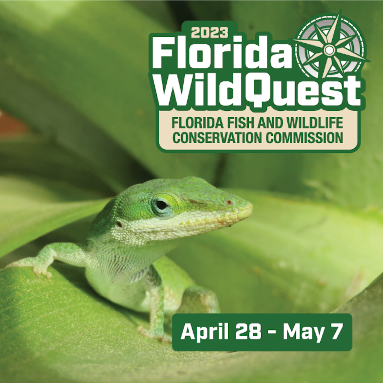 Join the FWC for Florida WildQuest 2023