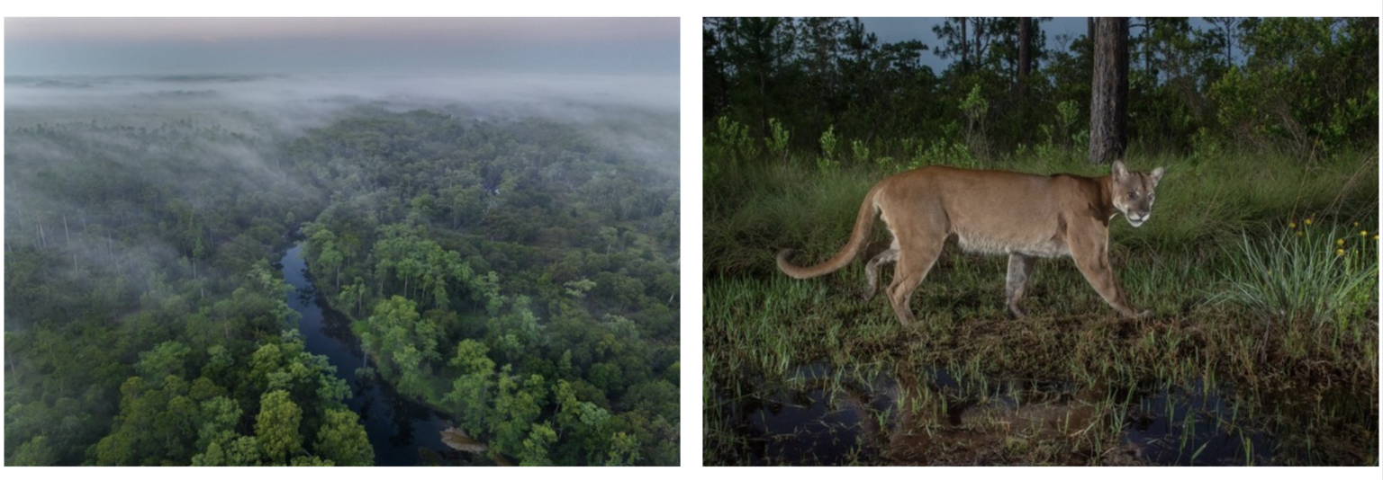 Governor Ron DeSantis and the Florida Cabinet Invest $103 Million to ...