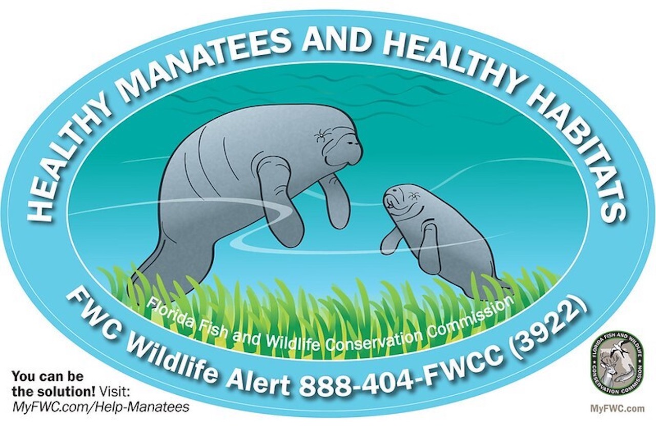 Help ensure Florida’s manatees and sea turtles have access to clean and ...