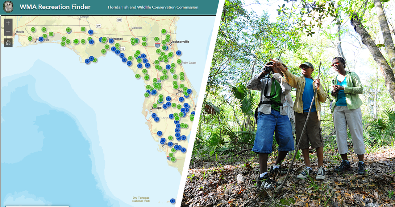 FWC Unveils Interactive Wildlife Management Area Recreation Finder